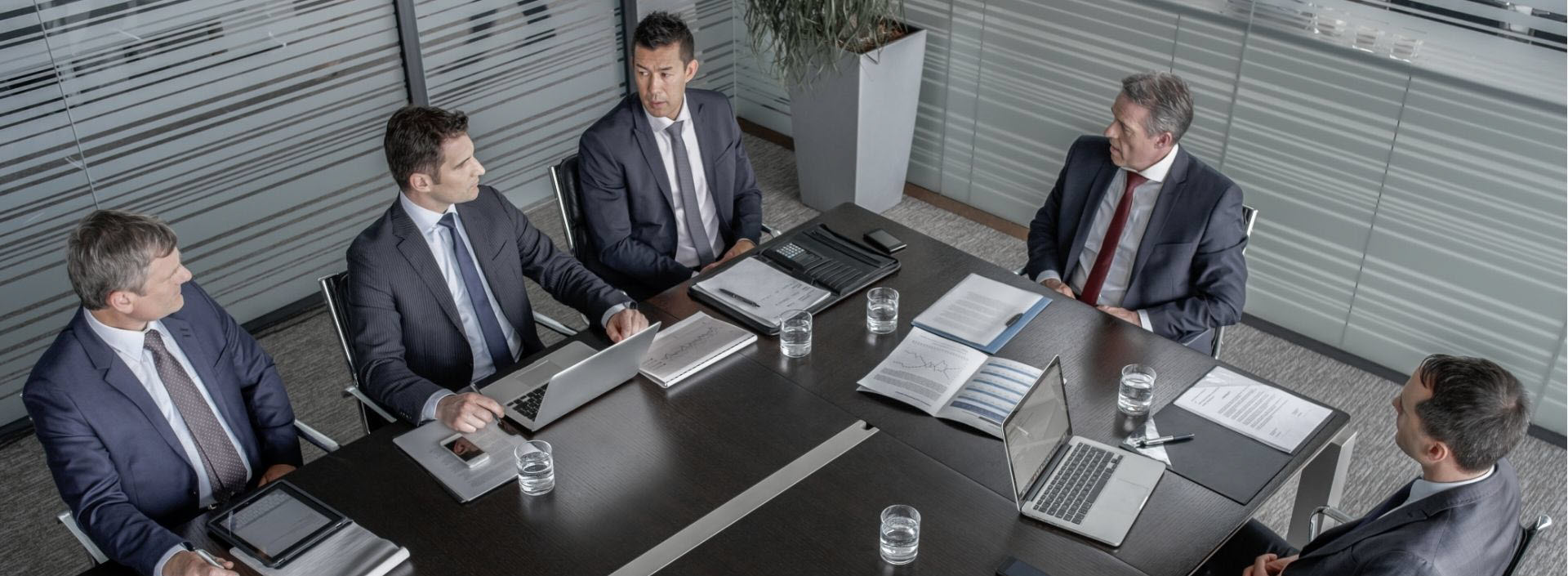 Directors' and Officers' Liability: Risks, Cases, and Protection